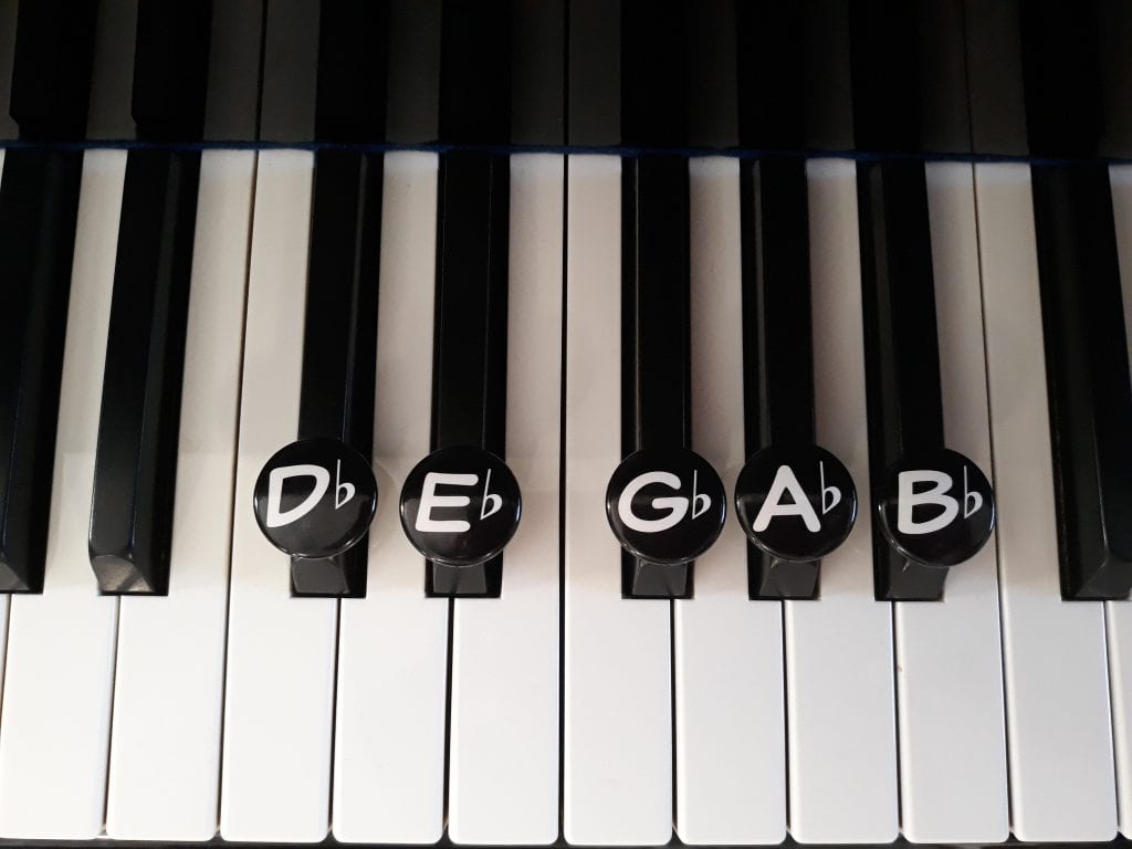 21 Music Note Letter Names Magnets - Musical Circles